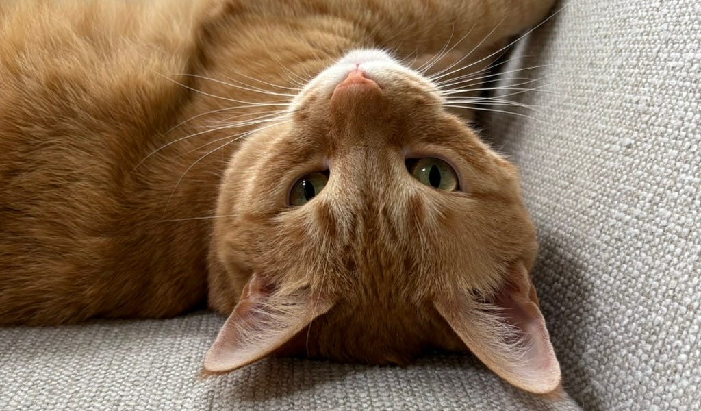 Puzzle Pieces, Pt. 1 - by Jesse Dougherty