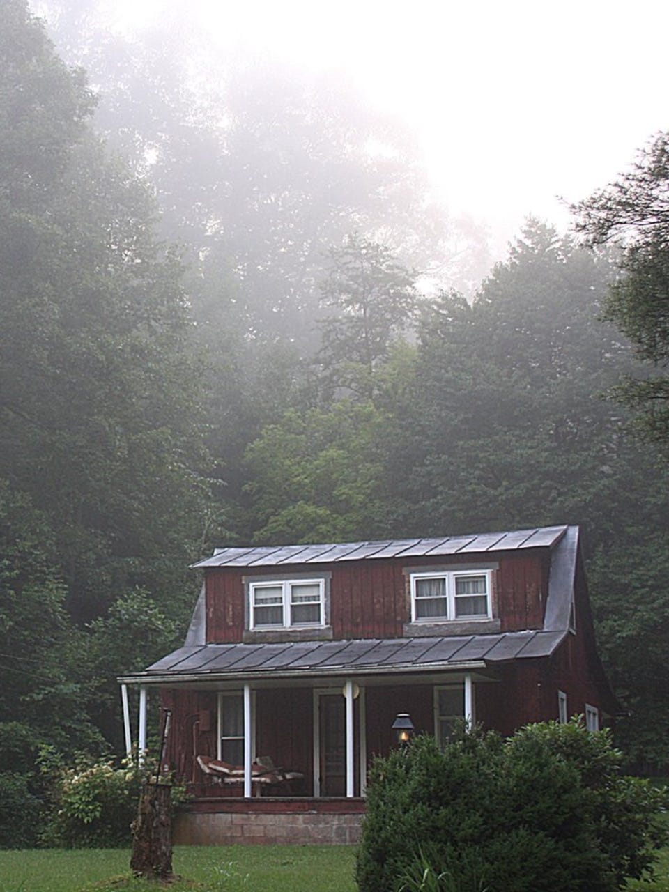 My Love Affair with “Griz” - by Ginny McKinney