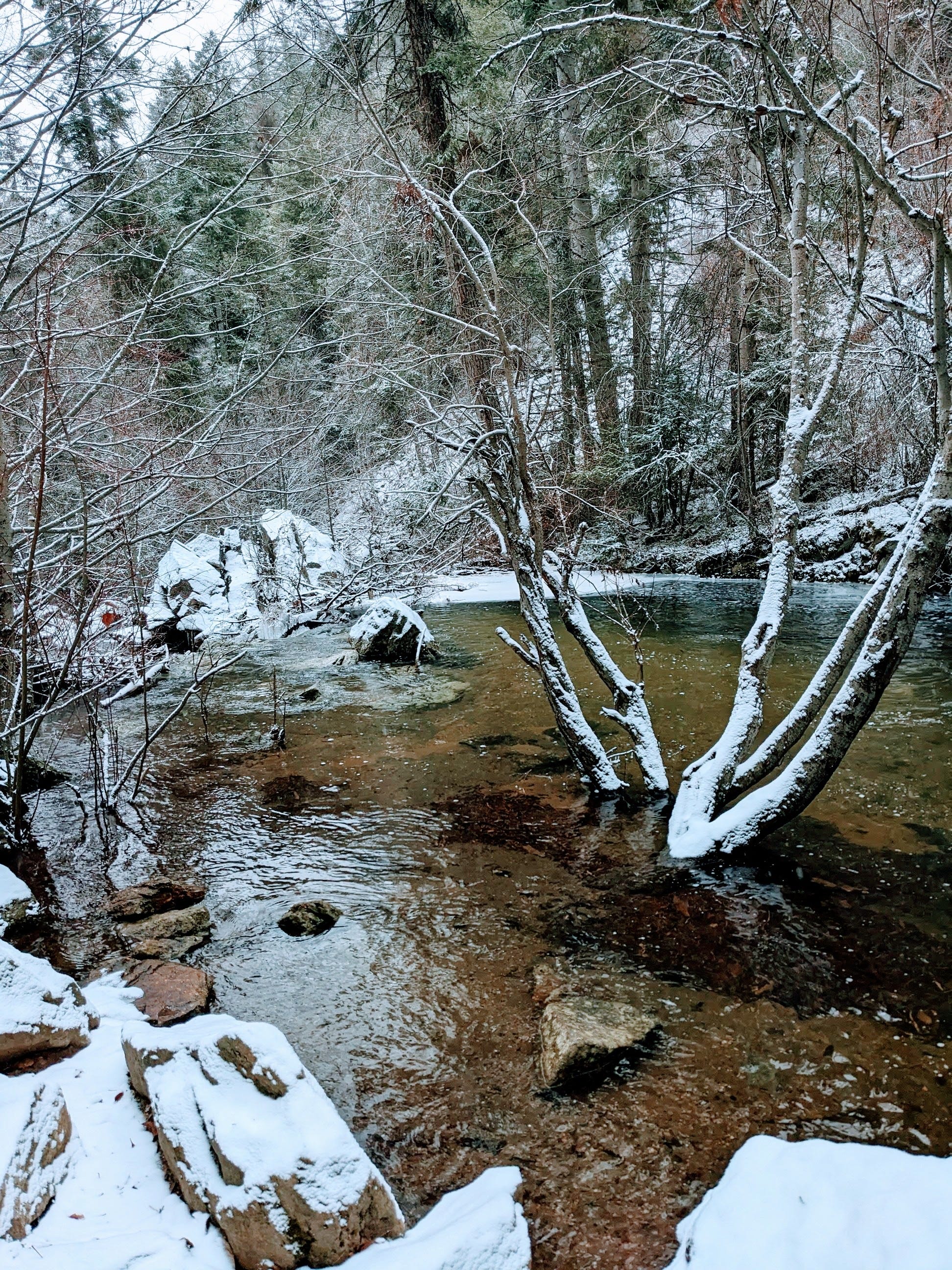 Shot in the Dark - William Martin Journal