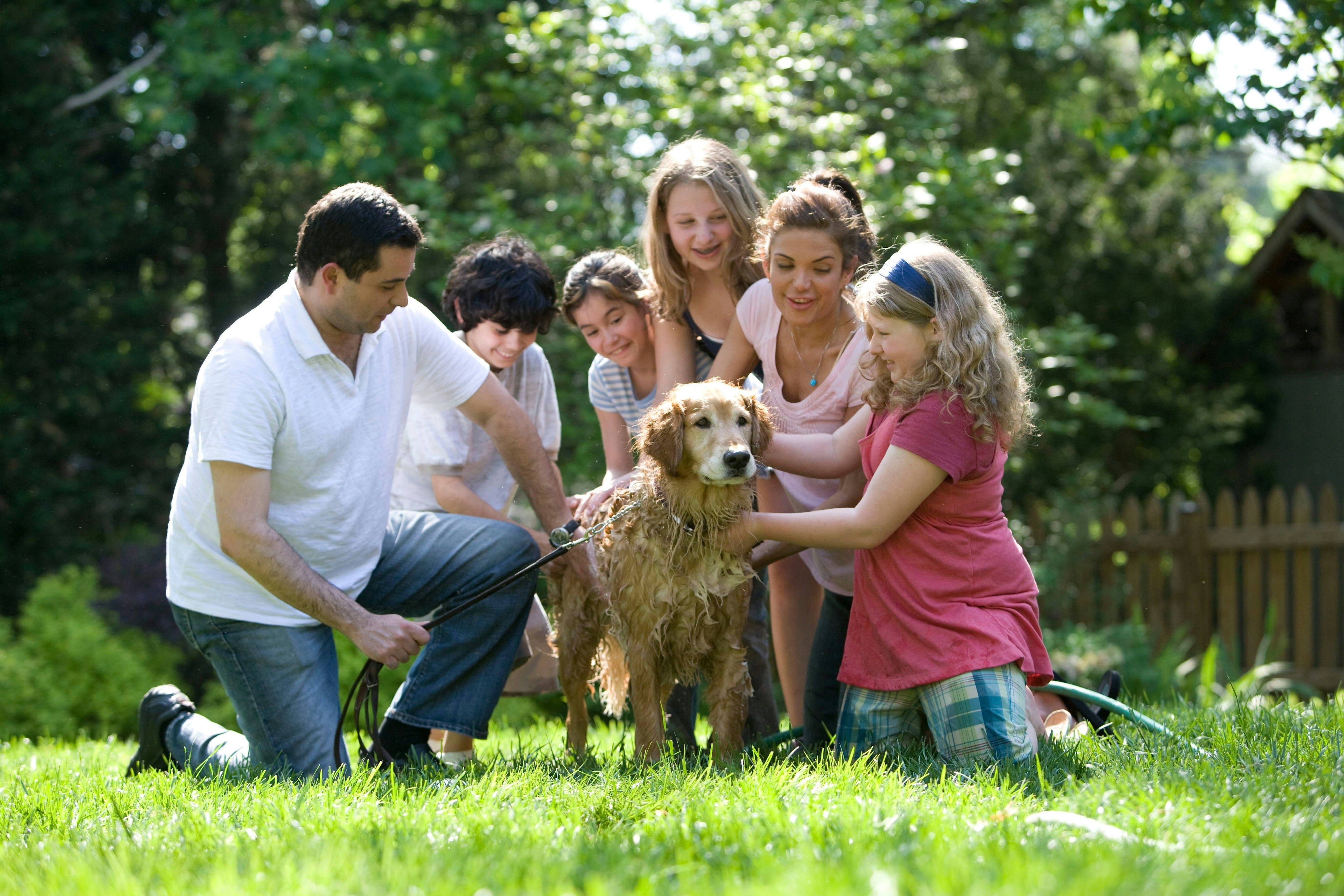 10 BIG ways small families differ from large families.