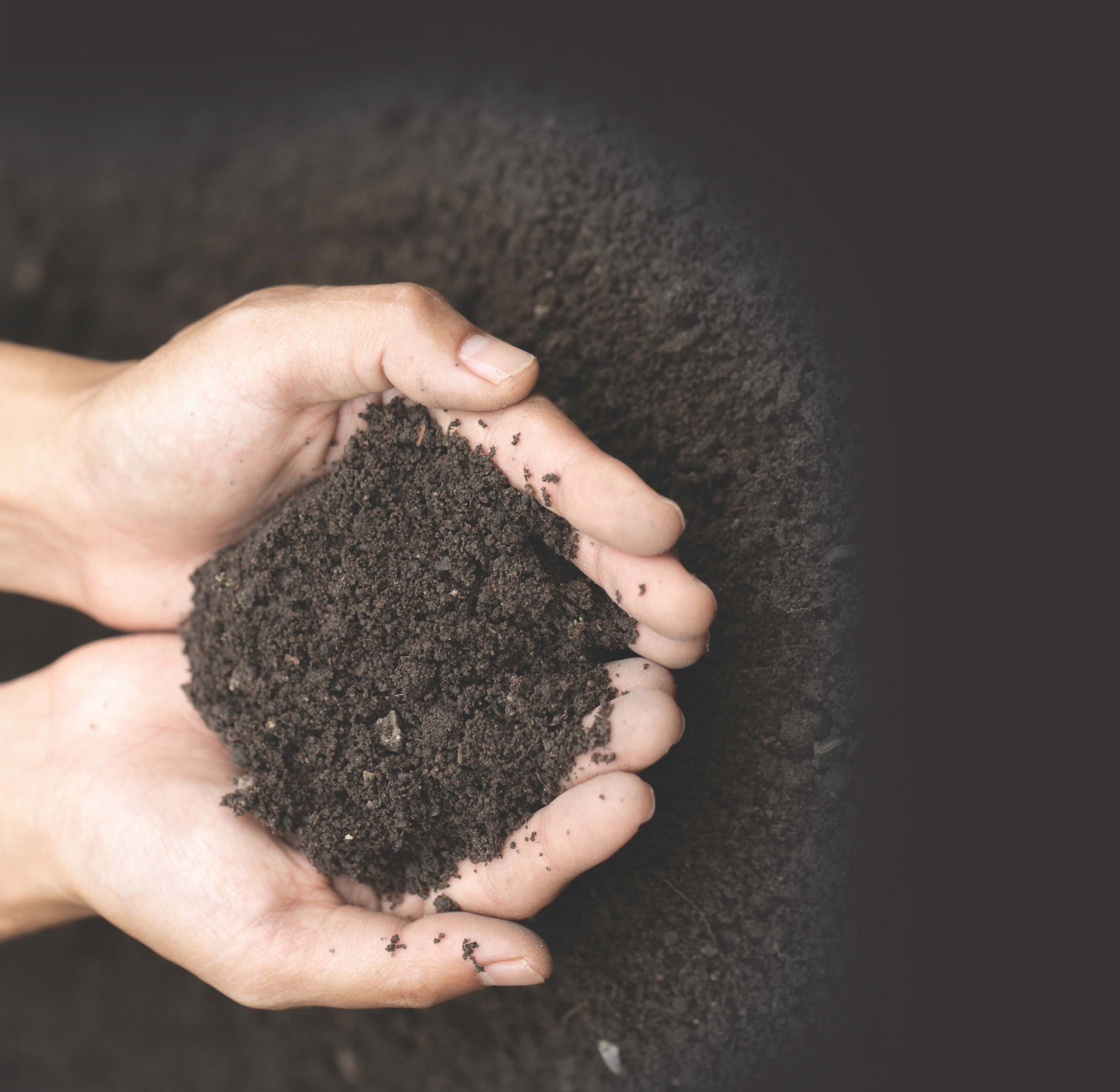 How to Complete a Site Analysis for your Garden (Part One)