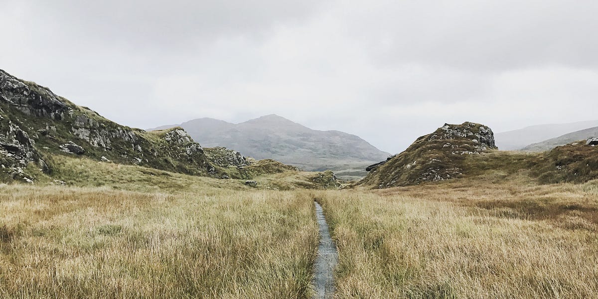 Losing the Way - Winn Collier