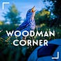 Woodman Corner | Substack
