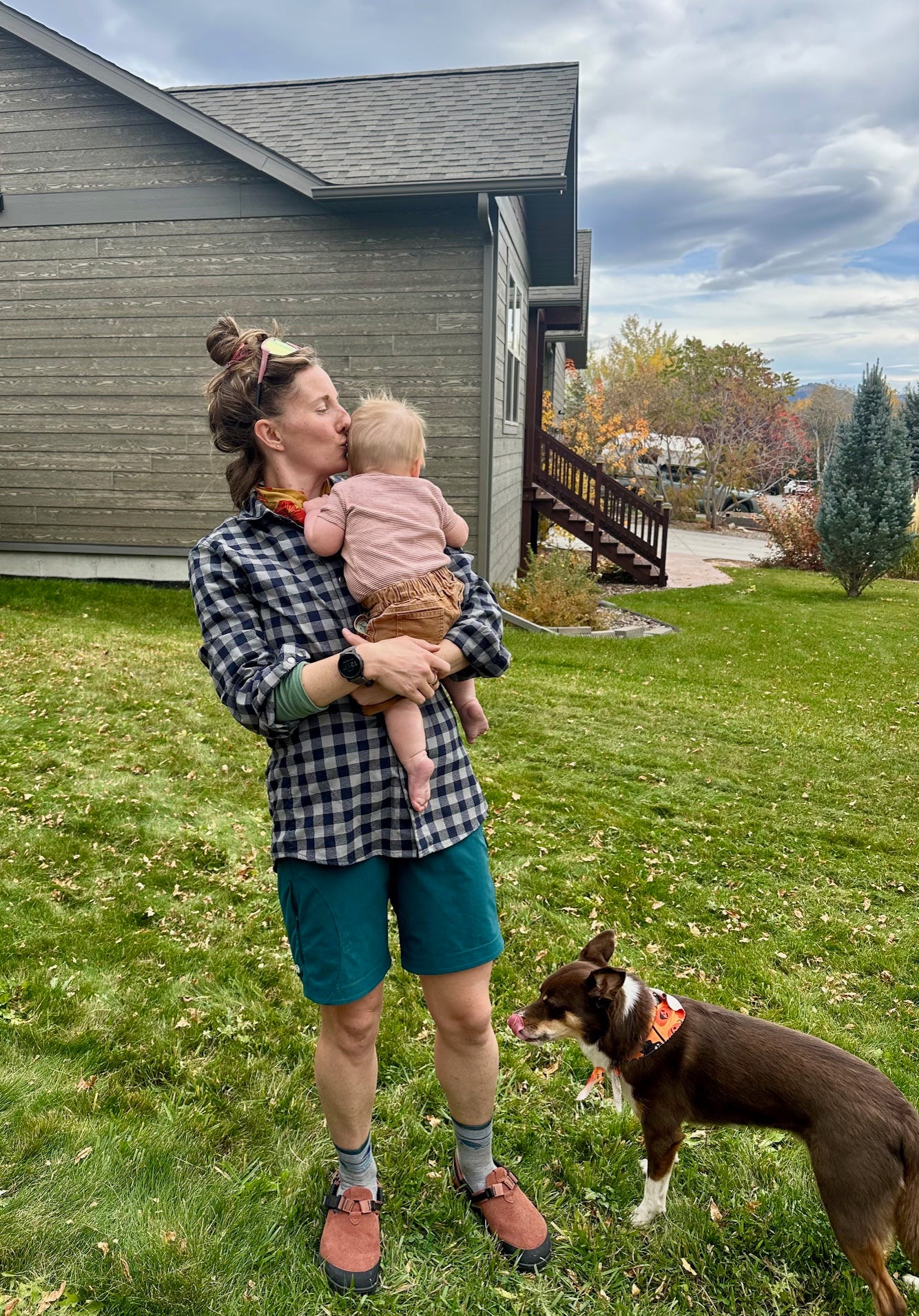 a trap of attention - by Hannah Brew - a new brew