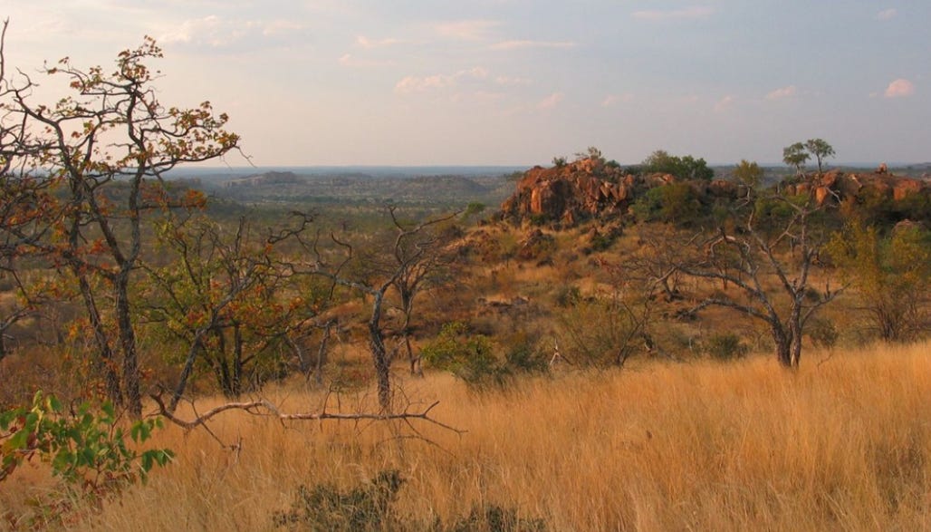 Mapungubwe, South Africa’s crown jewels and the Catalan vault