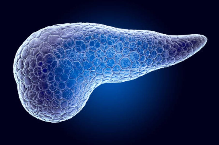 What Does The Pancreas Actually Do??