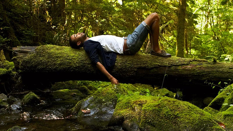 The Healing Power of Humming, Walking, and Trees: