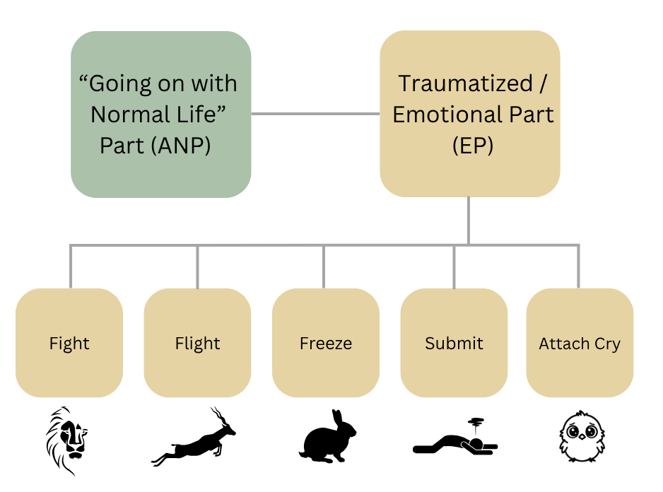 The Fragmented Self: How Trauma Creates Parts and Why Integration Heals ...