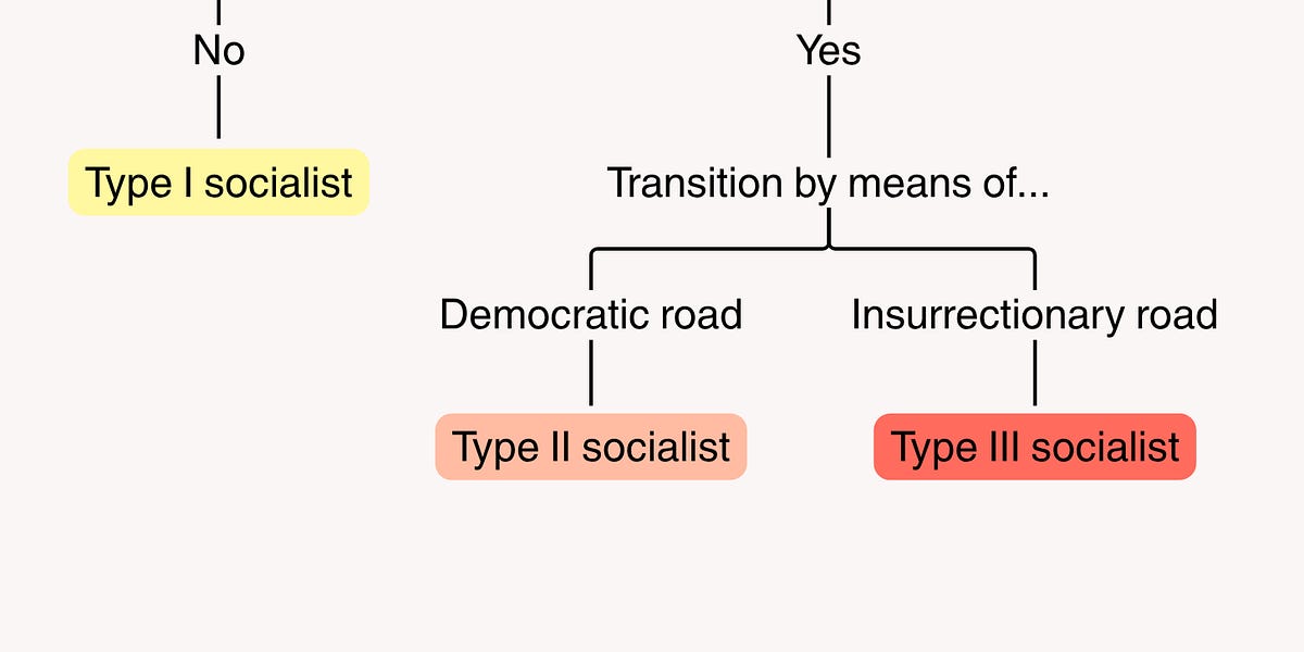 A Typology of Socialisms in the 21st Century