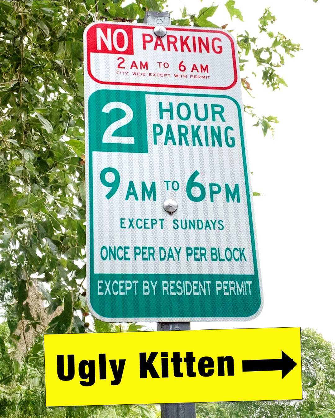 What's Behind the Ugly Kitten? - by Eric Herron