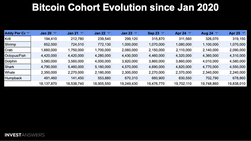RECAP: ₿ITCOIN WEALTH PYRAMID - InvestAnswers Newsletter
