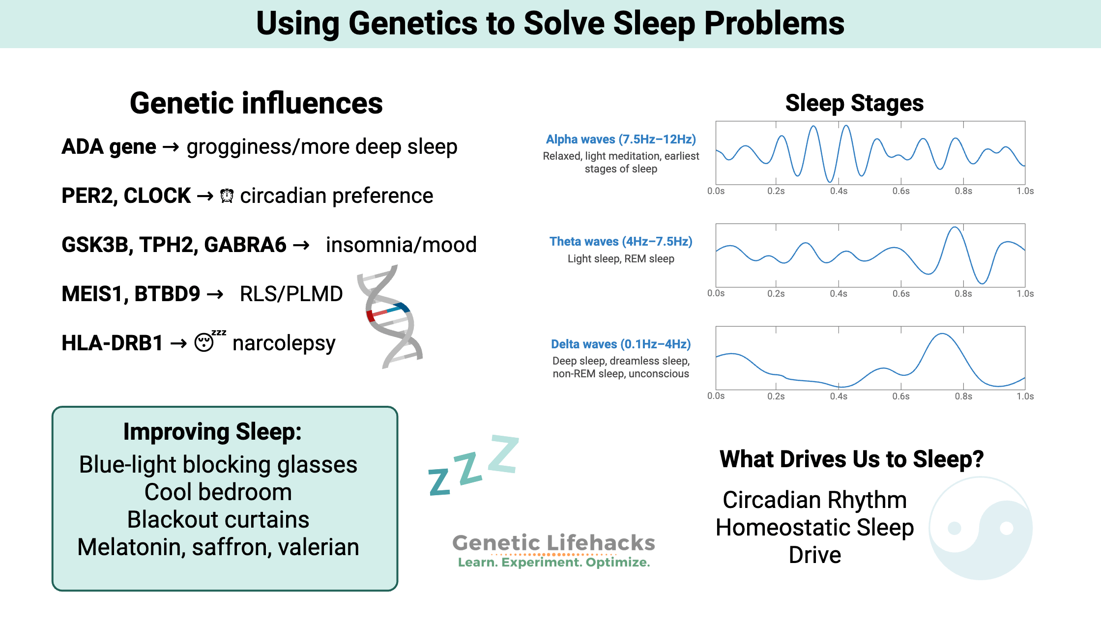 Sleep Genes Update + Uploading Genetic Data to AI