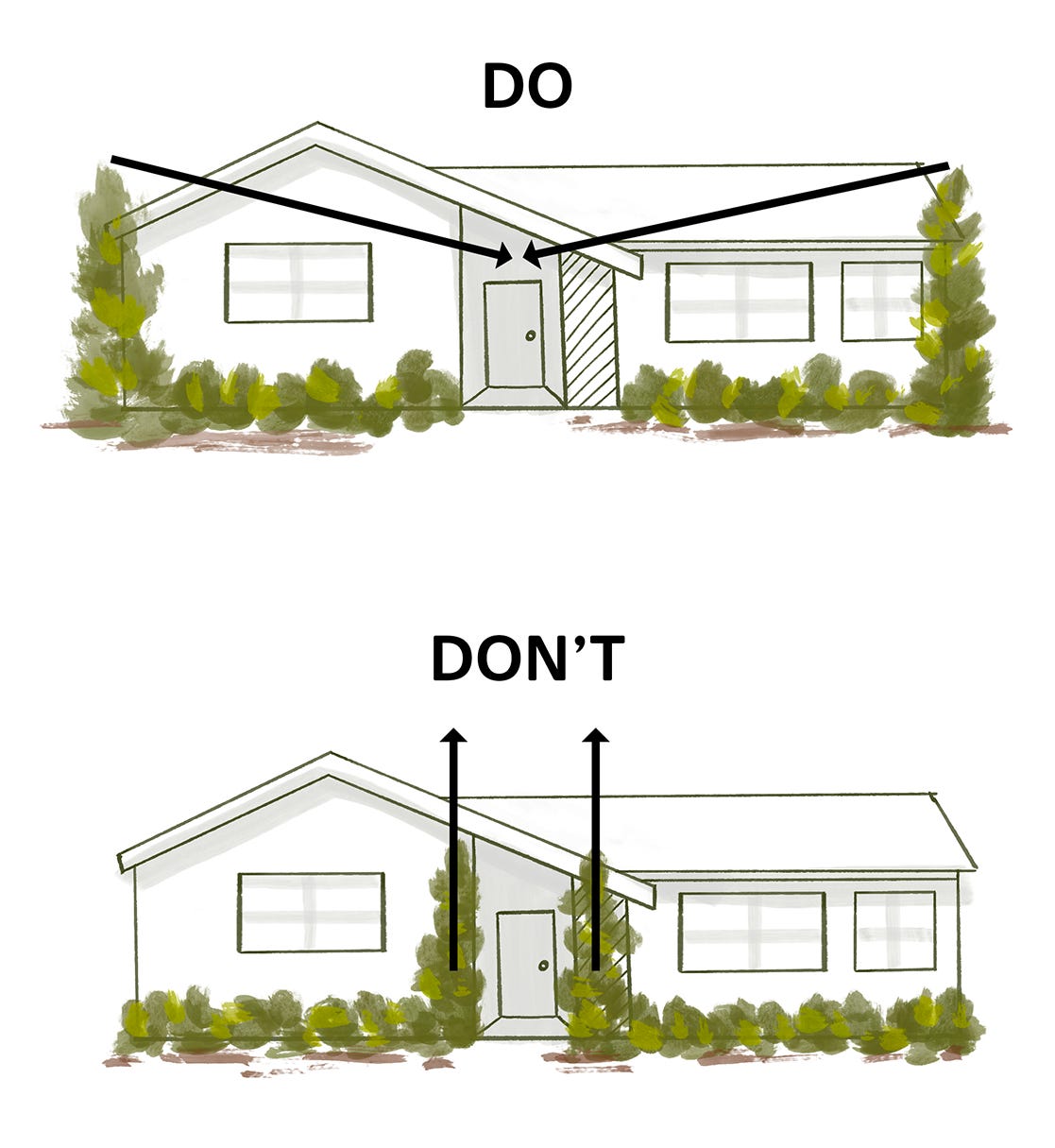 How to Lay Out and Space Your Plants