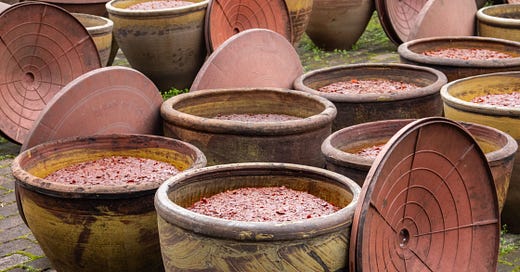 Ugly Pantry | Mei Liao | Substack