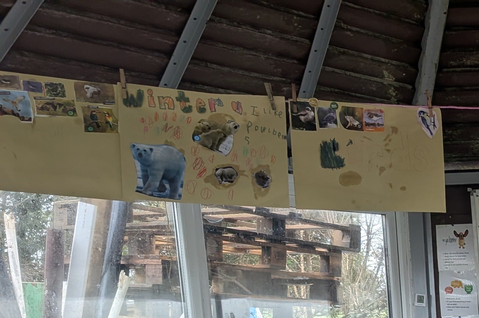 Adventures in Nature's Classroom - by Jennifer-Ann Lovelle