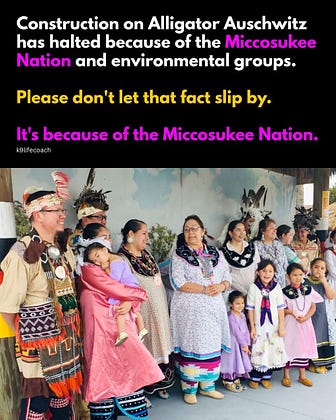 Patricia Bee | Substack