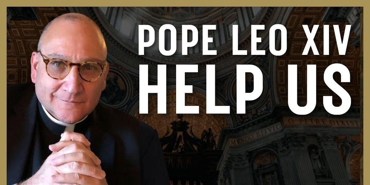 How Can Catholics Navigate the Current Problems in the Church? Fr. John ...