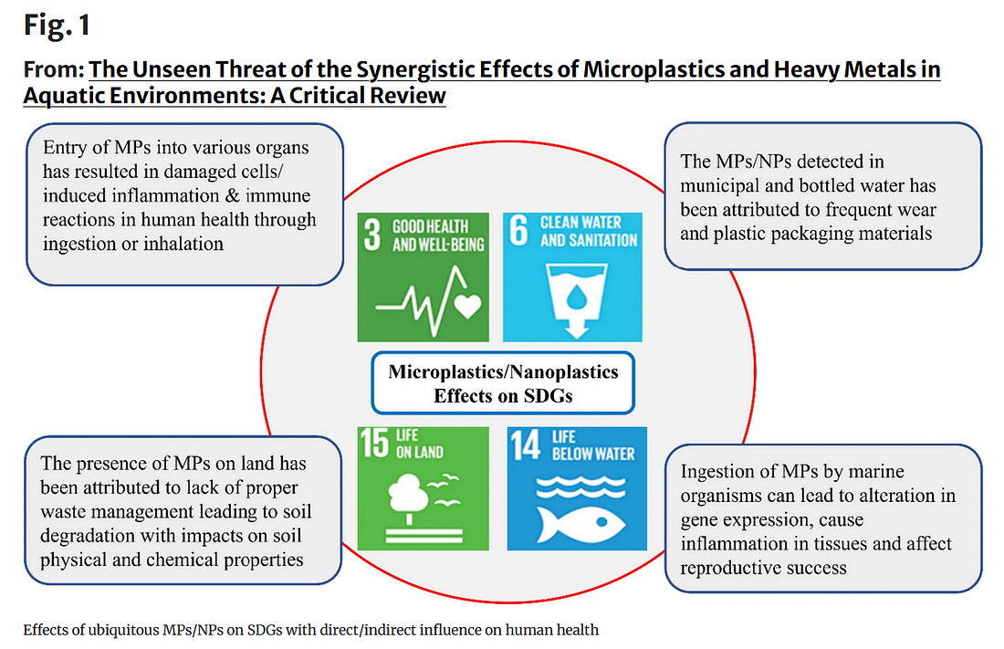 Templeton Times: Heavy Metals and Microplastics Have Synergistic ...