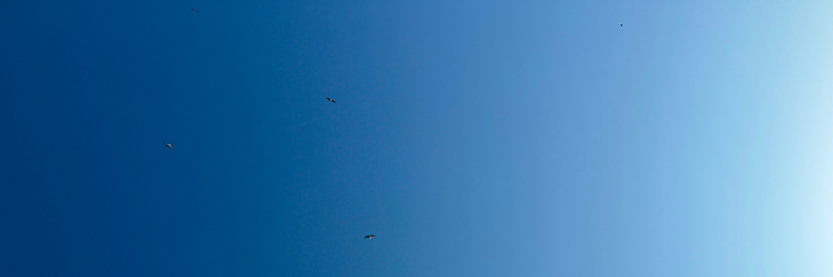 connor franta substack