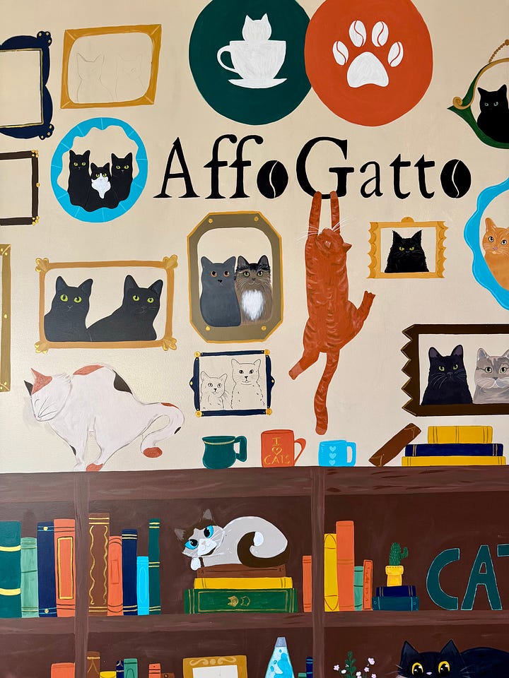 Colorado Springs Food & Drink Reviews: coffee, cat cafe