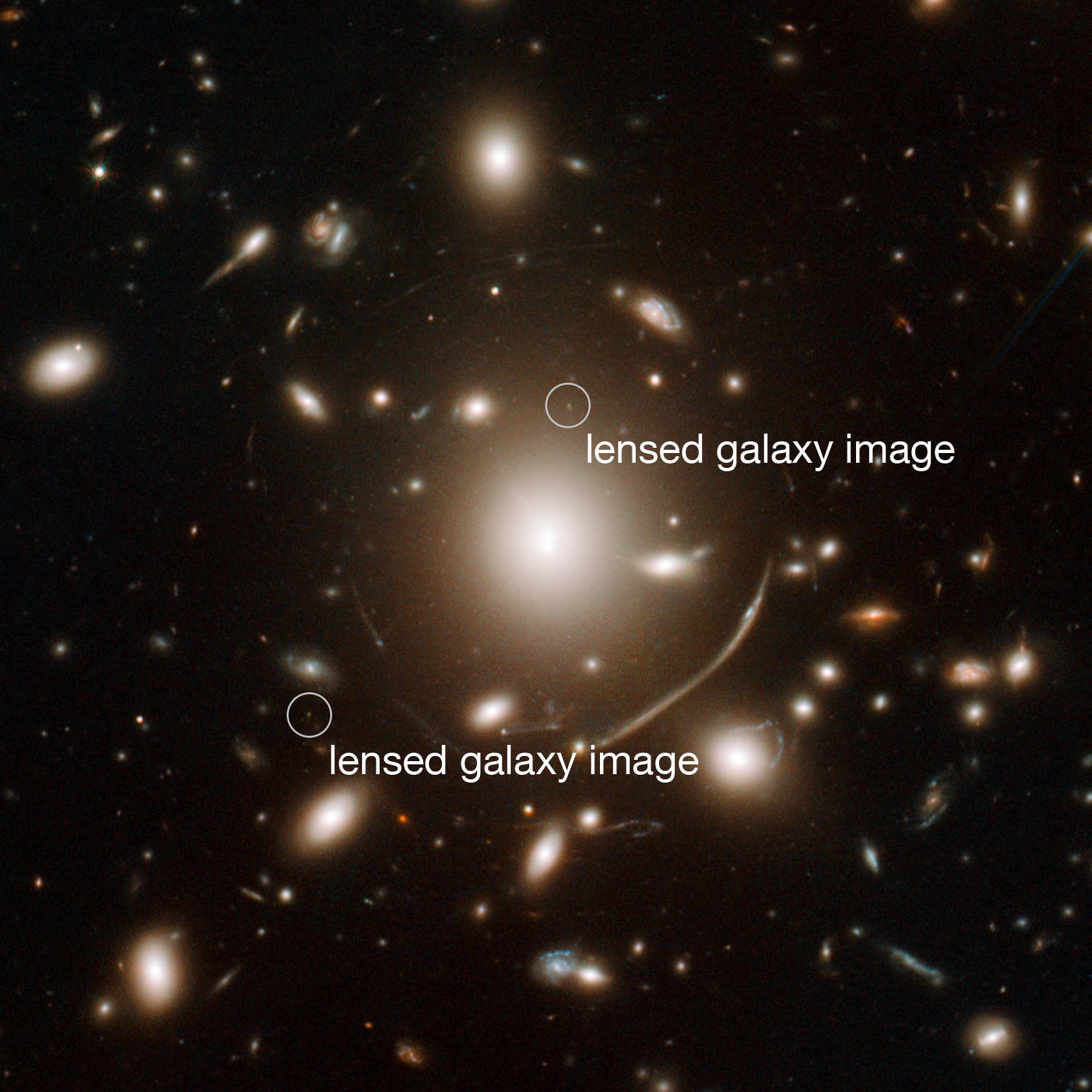 Gravitational Lensing: When the Universe Becomes a Telescope
