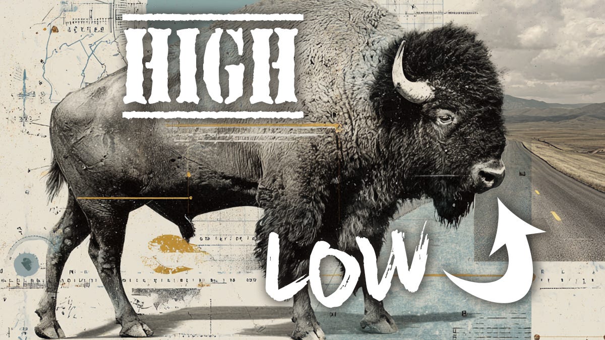 High Low Buffalo - by A. Paul Myers - Faux Souvenirs
