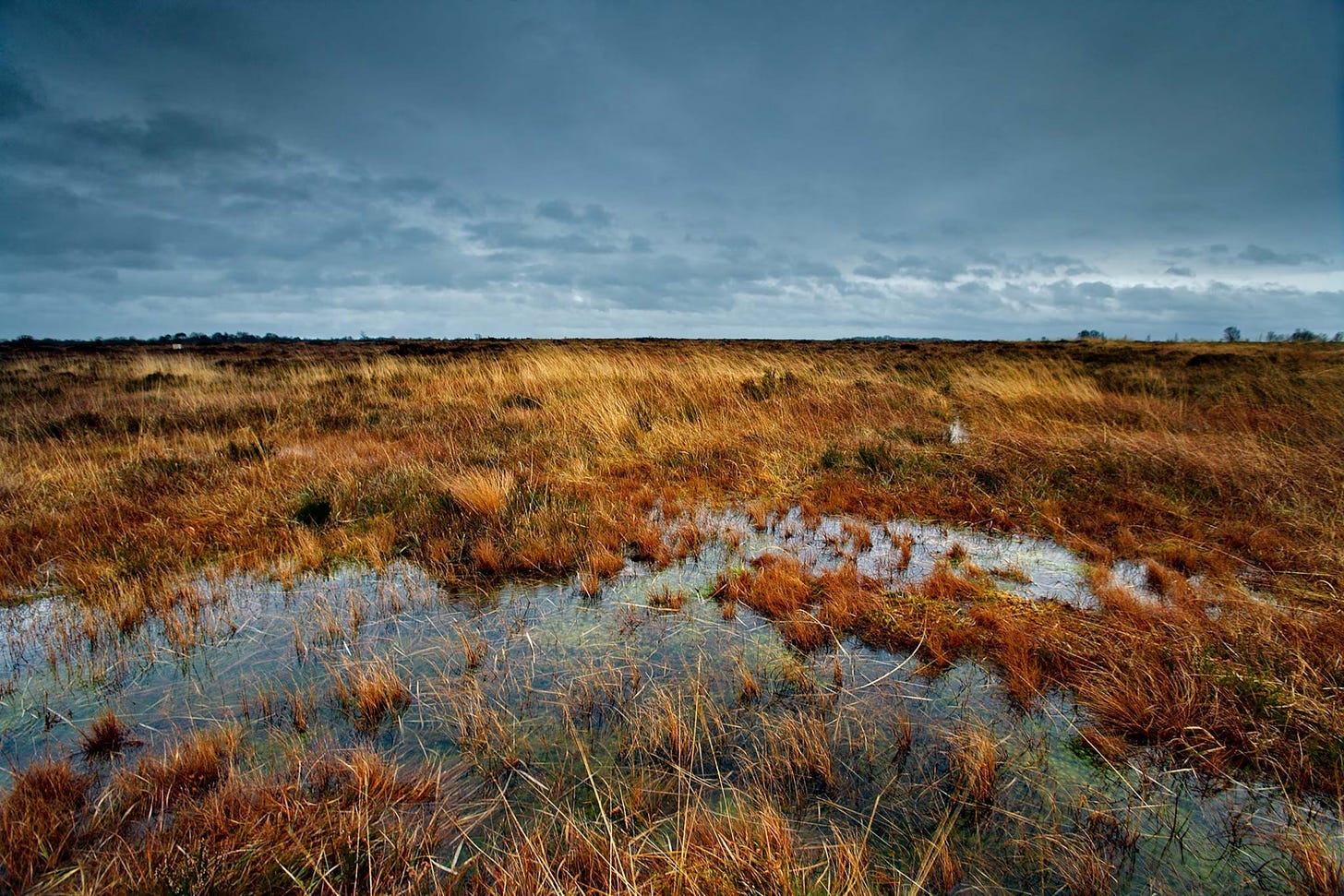 Denmark's "Best Dressed" Bog Body : Preserving the Hidden History of ...