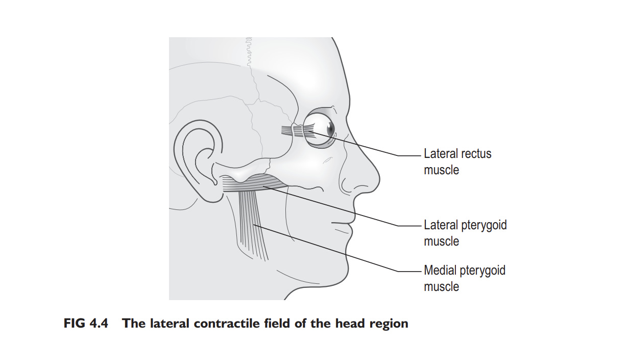 The Pterygoids - Vitae Aether