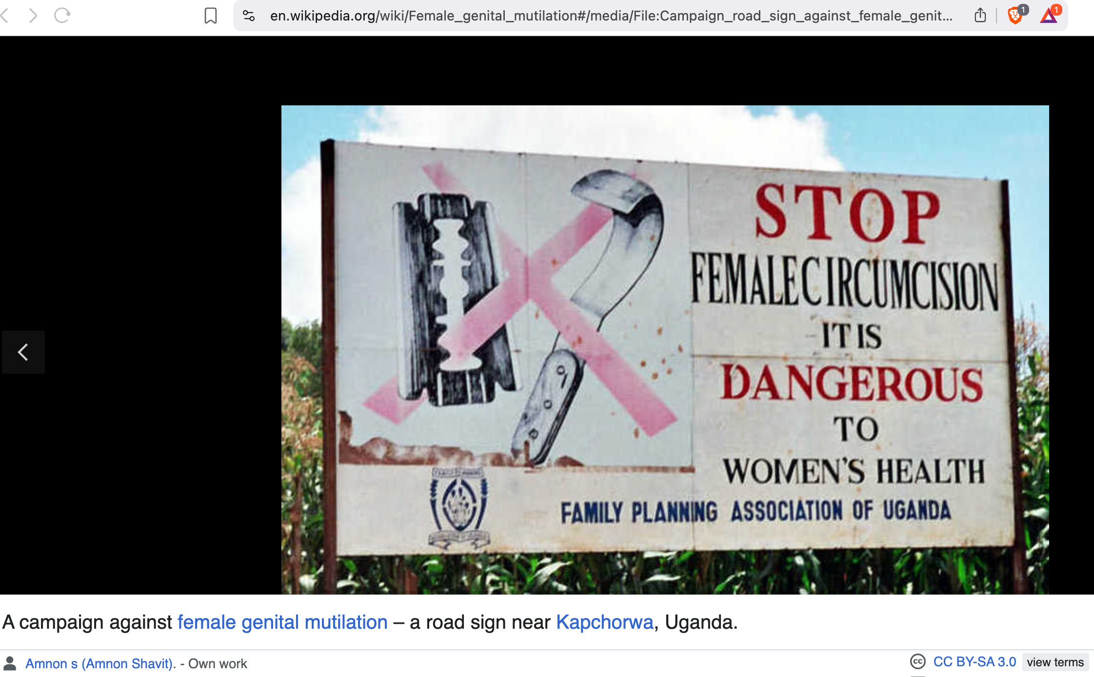 The Science™ on 'Harms of the current global anti-FGM campaign'