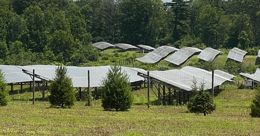 House of Green | Alexandra Fasulo | Substack