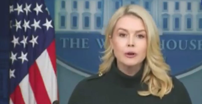 Karoline Leavitt Blames Democrats For The Trump Administration Murder ...