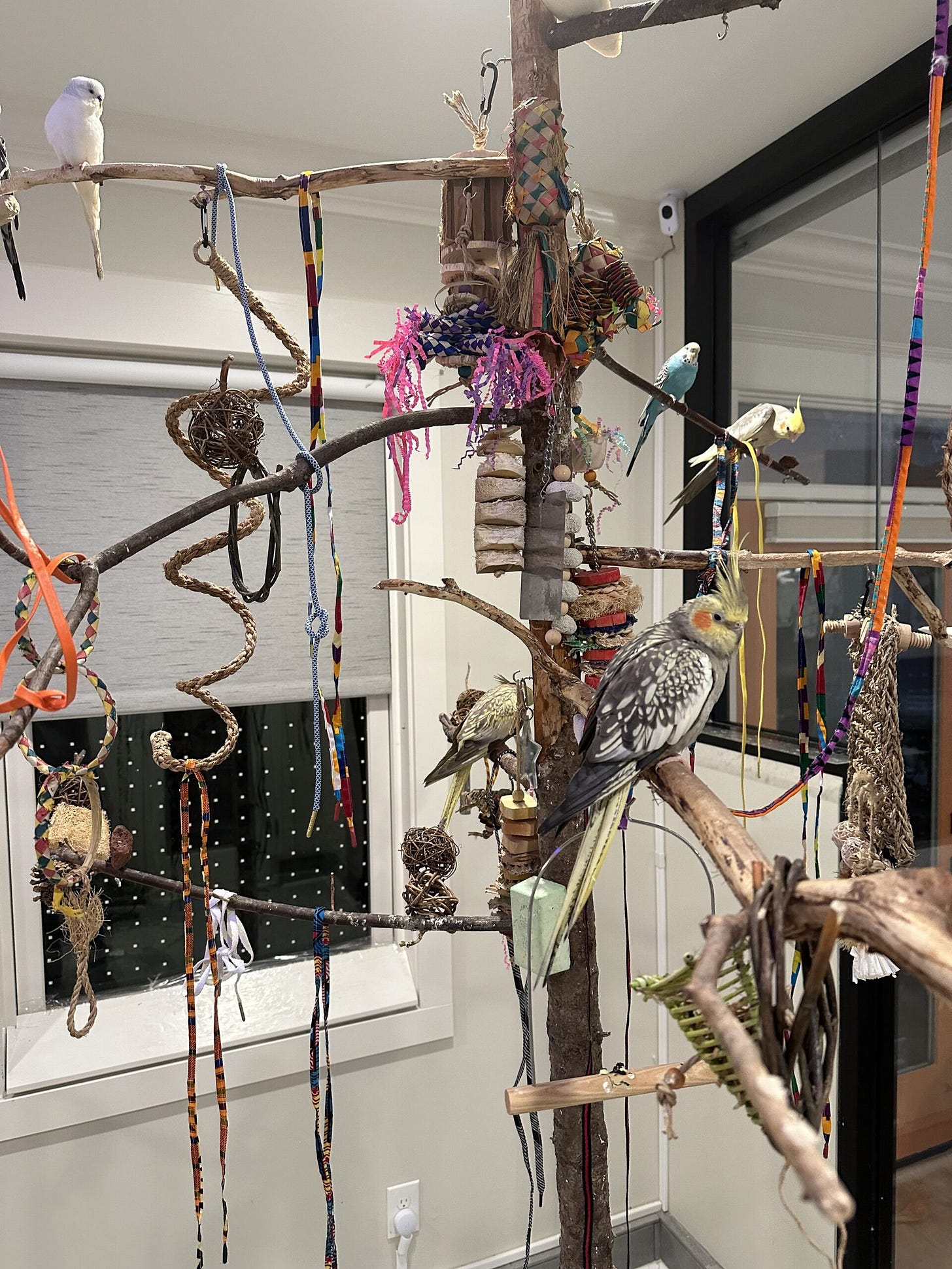 How I made “perch trees” for our aviaries