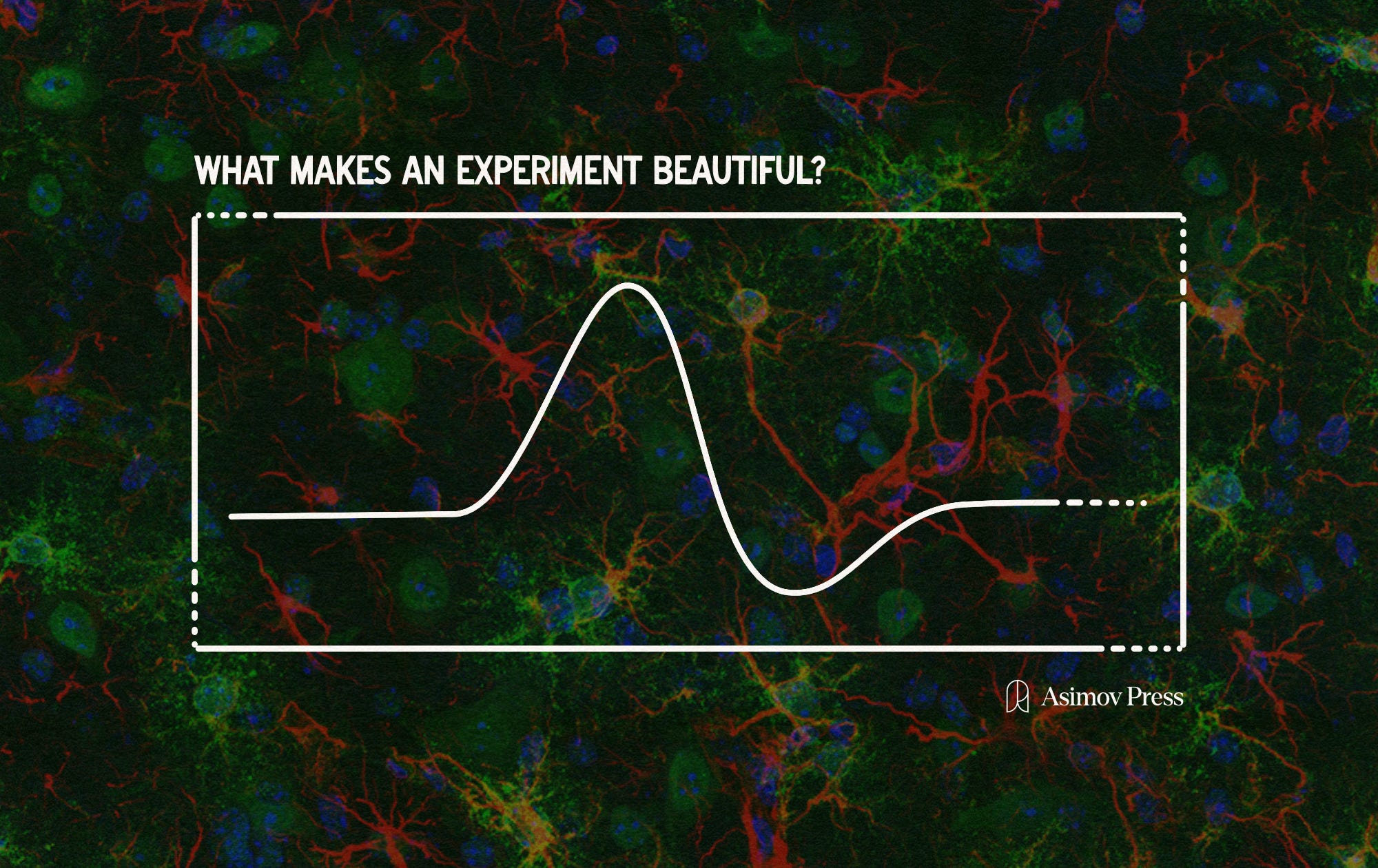 What Makes an Experiment Beautiful?