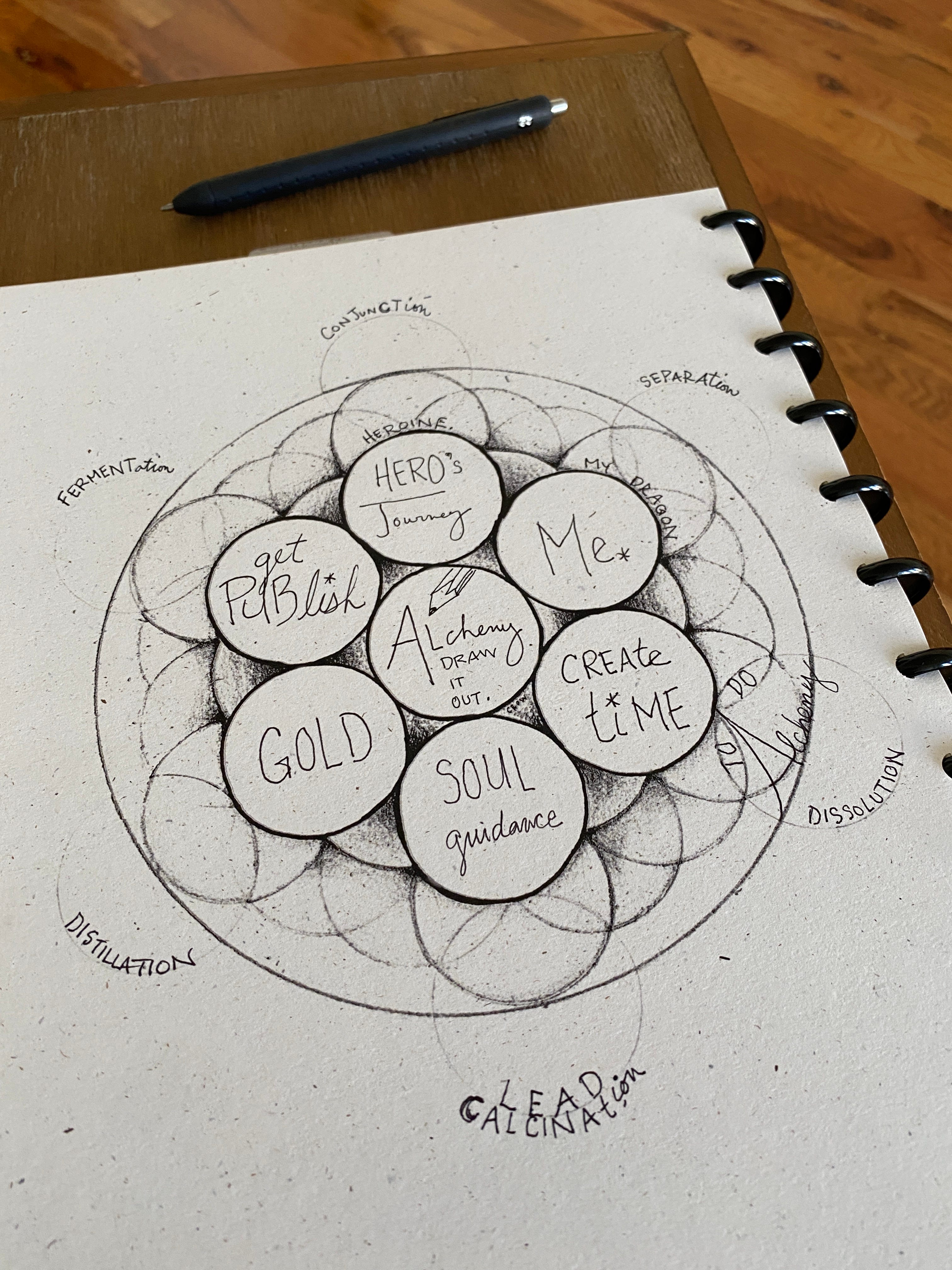 Drawing My Way Home - by Cheryl Crow - Quantum MeMoir