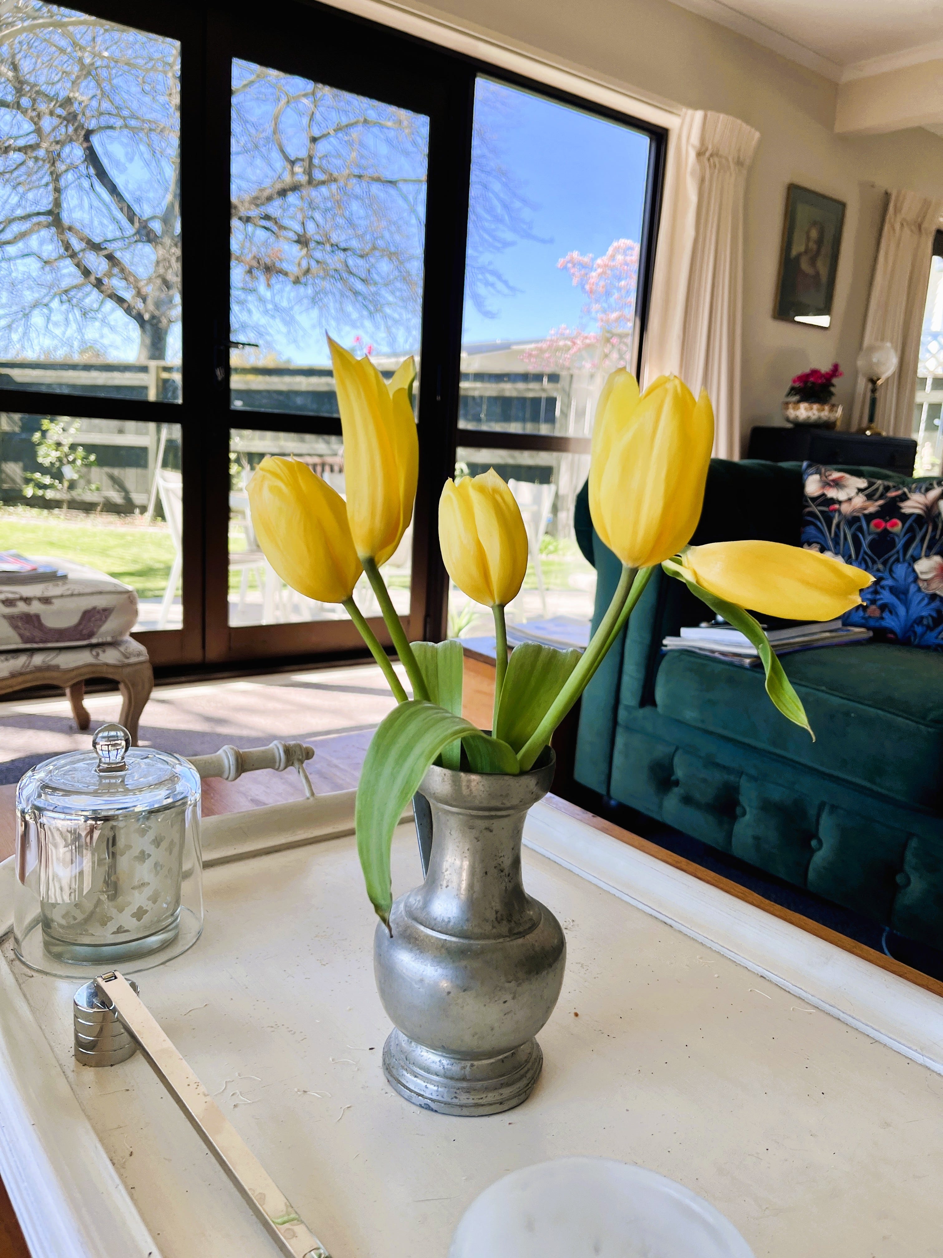 Hello spring! - Fiona Ferris Books