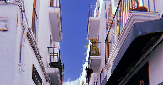 On The Go Mushrooms | Rory | Substack