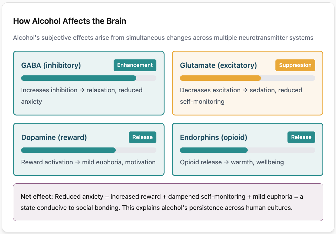 Alcohol, Brain Health, and Longevity – Terroirs du Monde