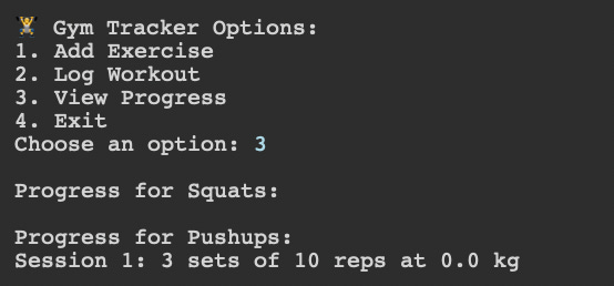 Build a Gym Workout Tracker with Python - by Ardit Sulce