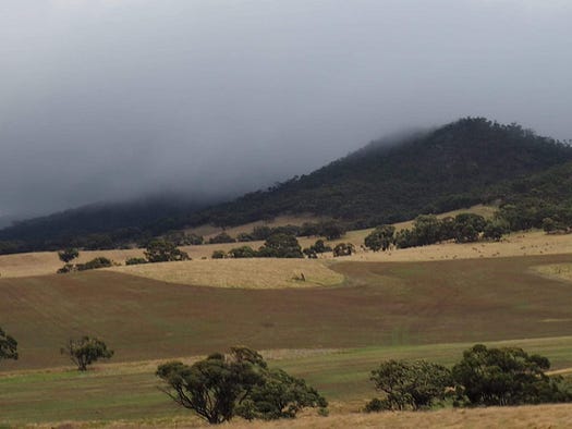 In the Land of the Ngadjuri - by Simon Cameron