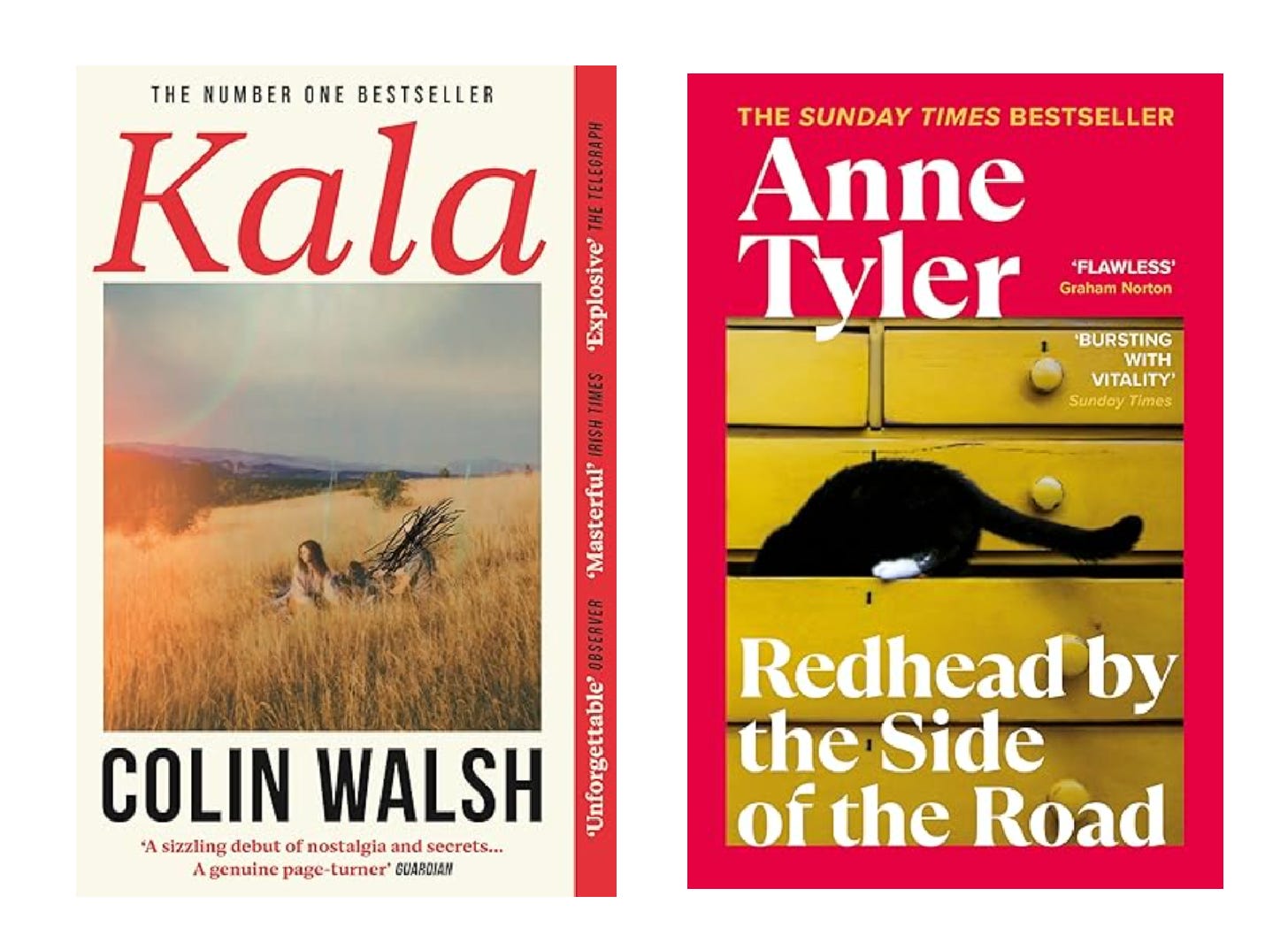 All The Books I Read Last Year - by Ruth Crilly