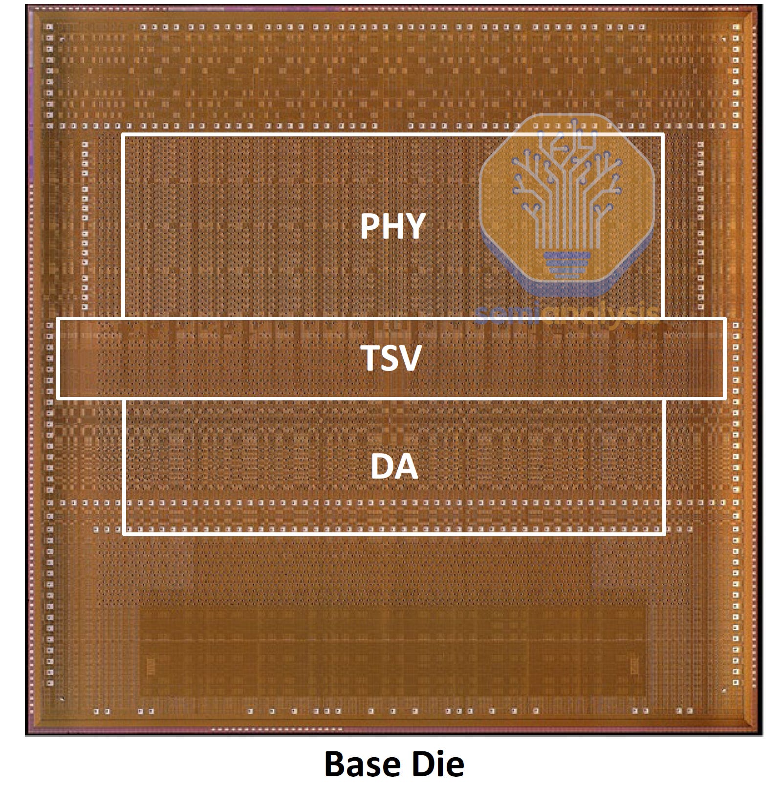 Scaling the Memory Wall: The Rise and Roadmap of HBM