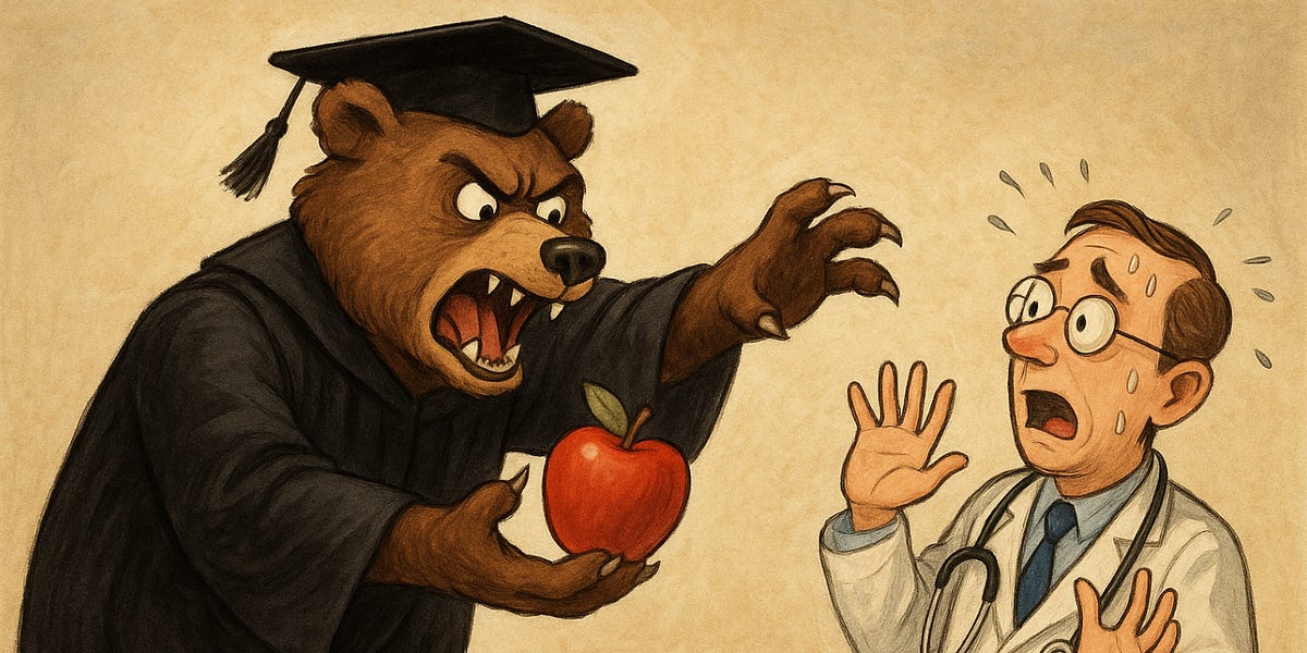 Doctor, Doctor - Philosophy bear