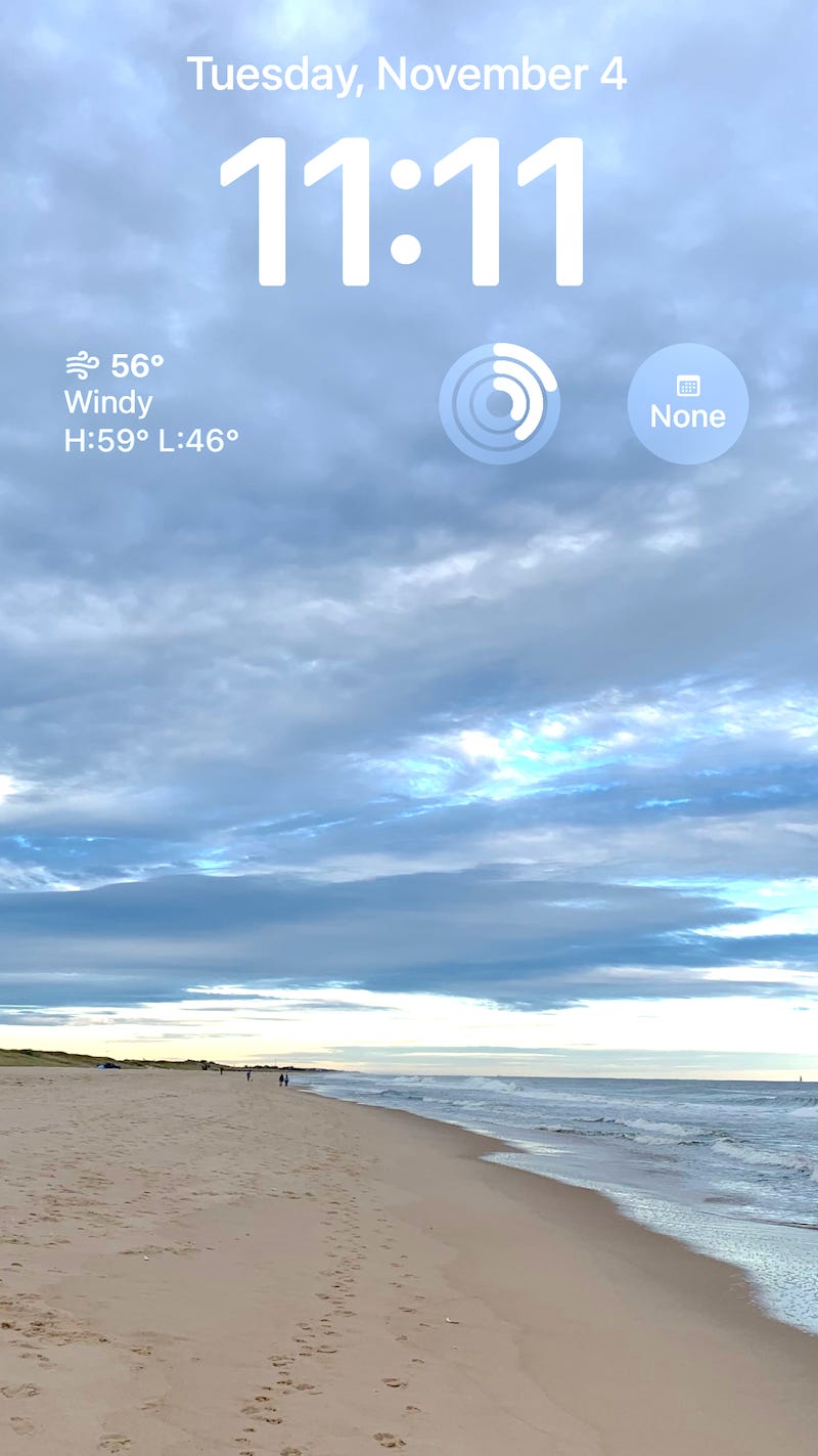 Here for the Year of the Horse - by Deirdre McMennamin