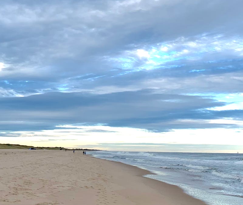 Here for the Year of the Horse - by Deirdre McMennamin