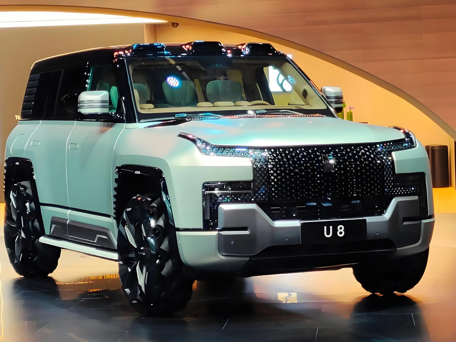 From Scale to Strength: Can BYD Win in 2025?