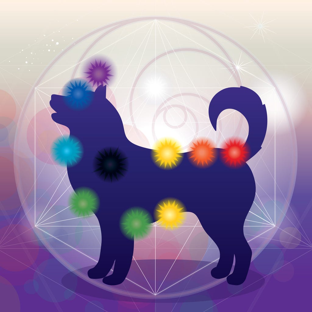 Understanding Animal Chakras - by Dr. Angelique Barbara