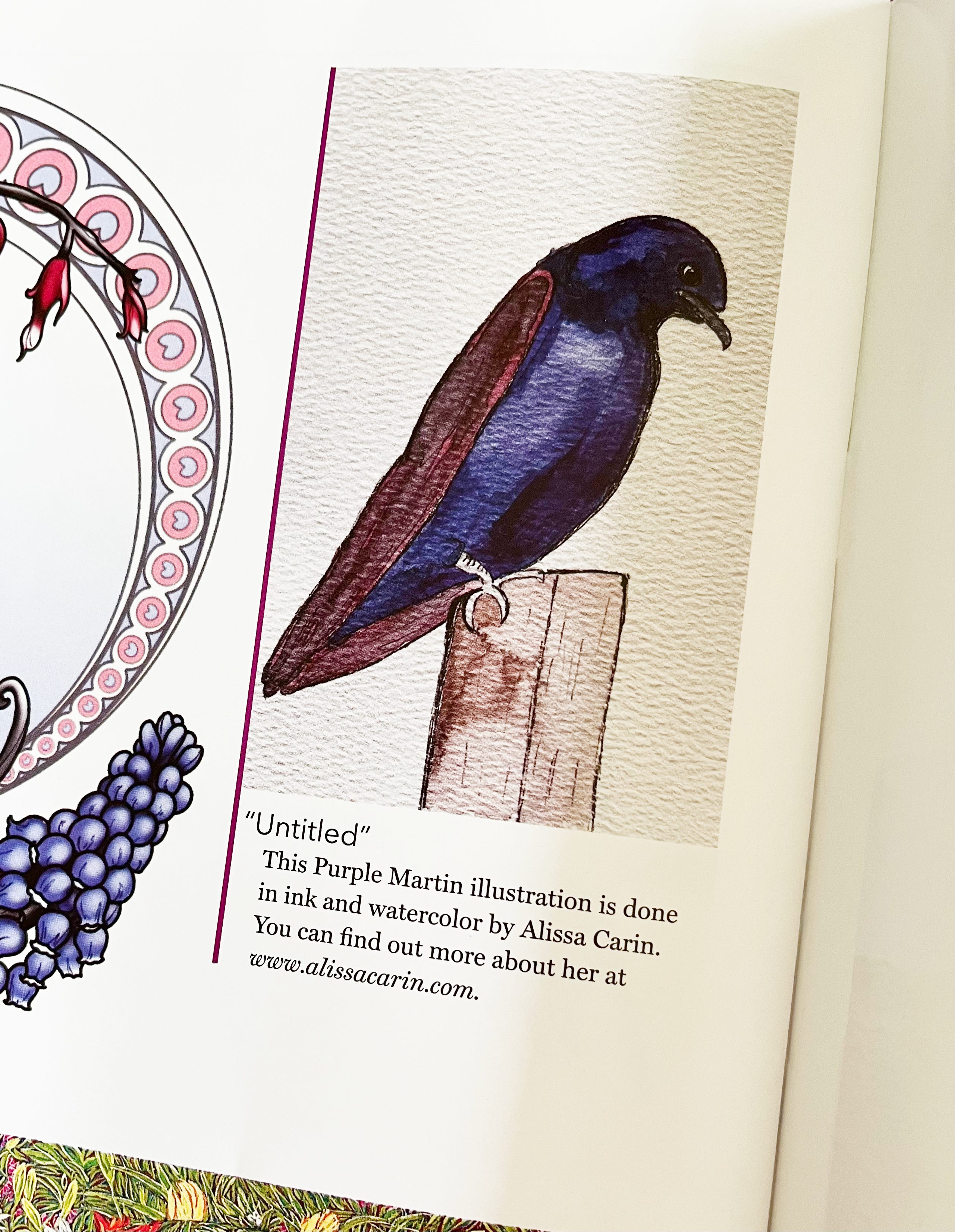 Send in the Paparazzi, I’m in a Magazine – Creativity and Contentment