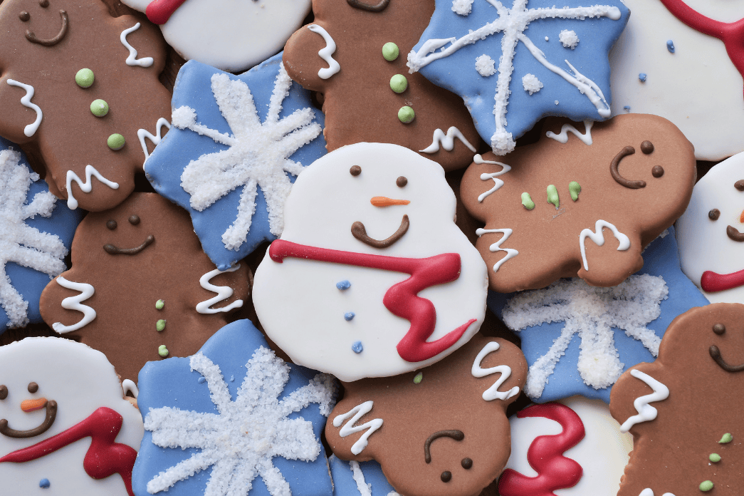 Home for the Holidays - by CSShride