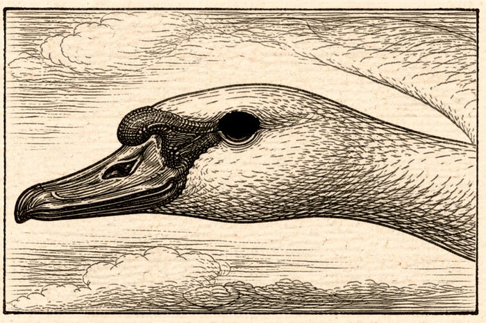 The Swan, the Fairy, the Coffin and (Sometimes) Wedding Bells