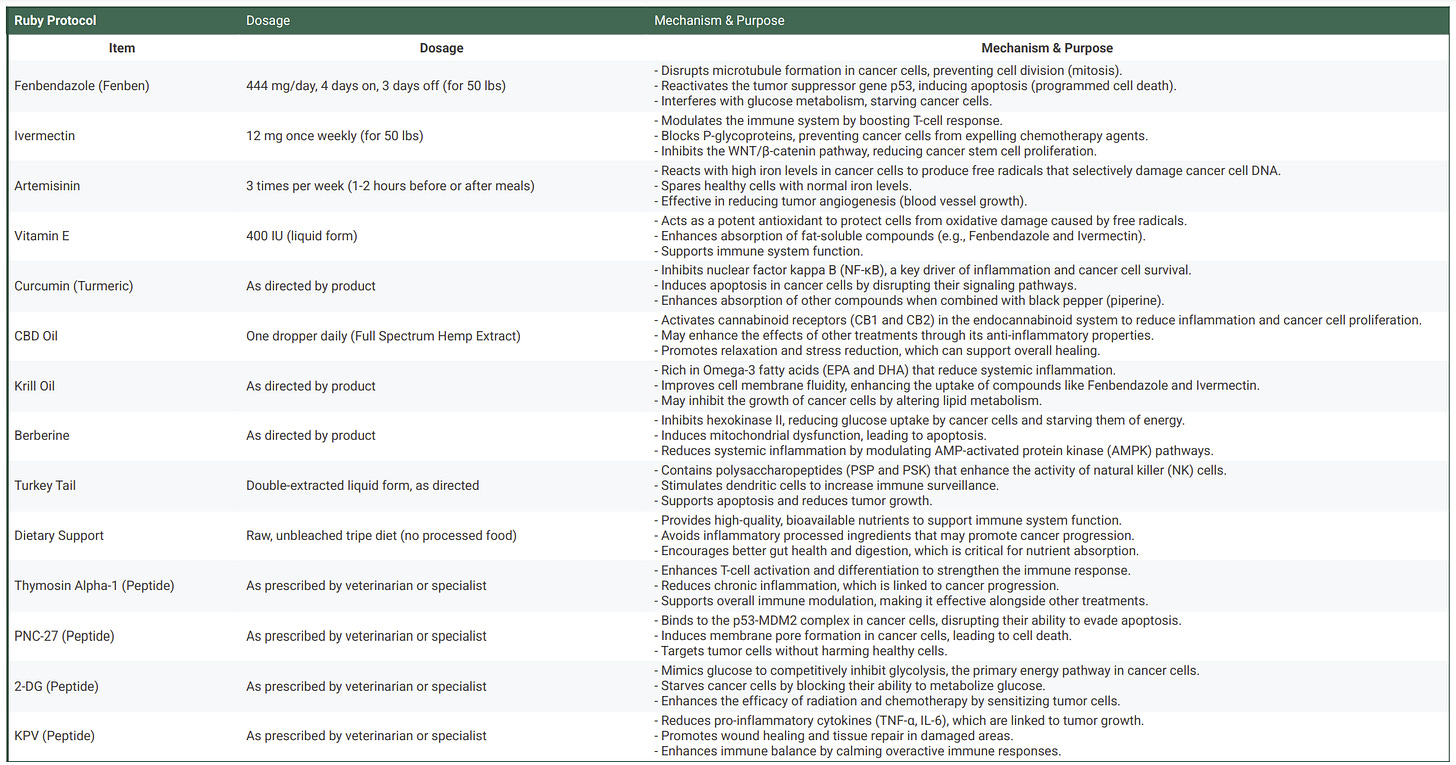 Ruby Protocol: How Fenbendazole, Ivermectin, and Peptides Helped Extend My Dog’s Life